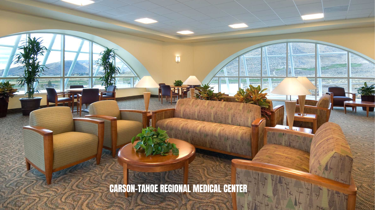 Embracing Biophilic Design in Healthcare: Creating Healing Environments ...